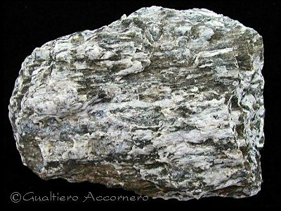 Rocce Sedimentarie Di Carbone 3B Scientific 3B Scientific Natural